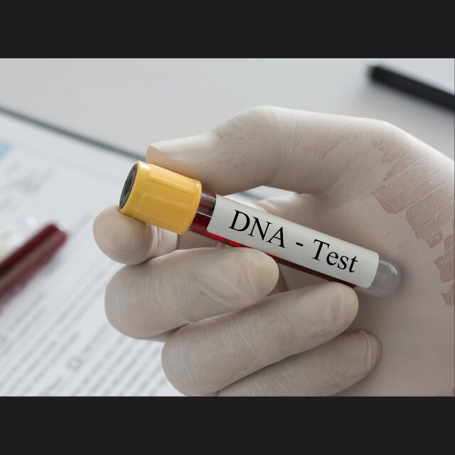 両親が離婚して”15年”。娘「私お父さんの子じゃないの？」父「DNA鑑定した」突然父から告げられた”鑑定結果”に⇒娘「え…」 – lamire [ラミレ]